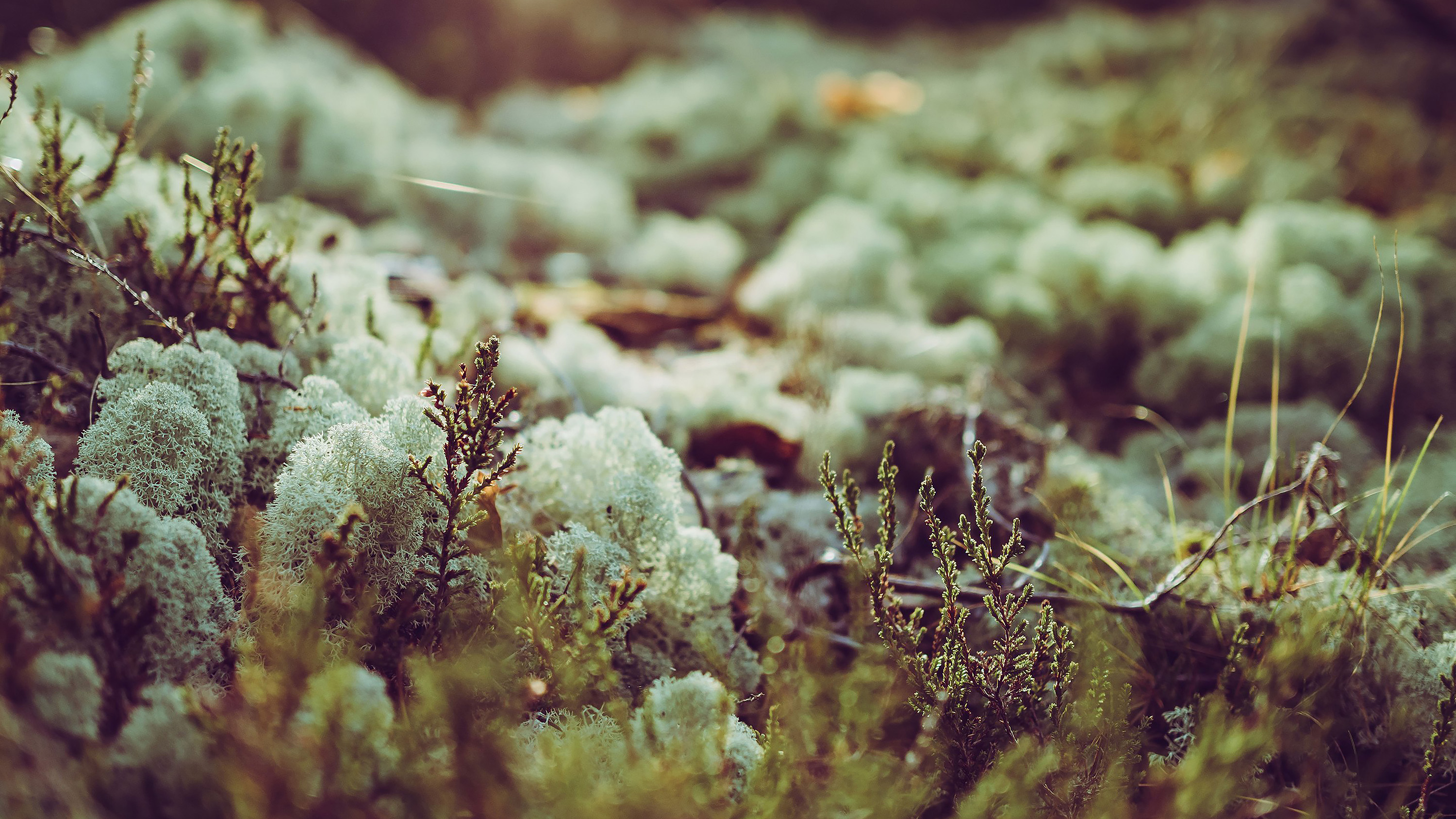 Climate neutral, justified and sustainable H2 transition | LUT University