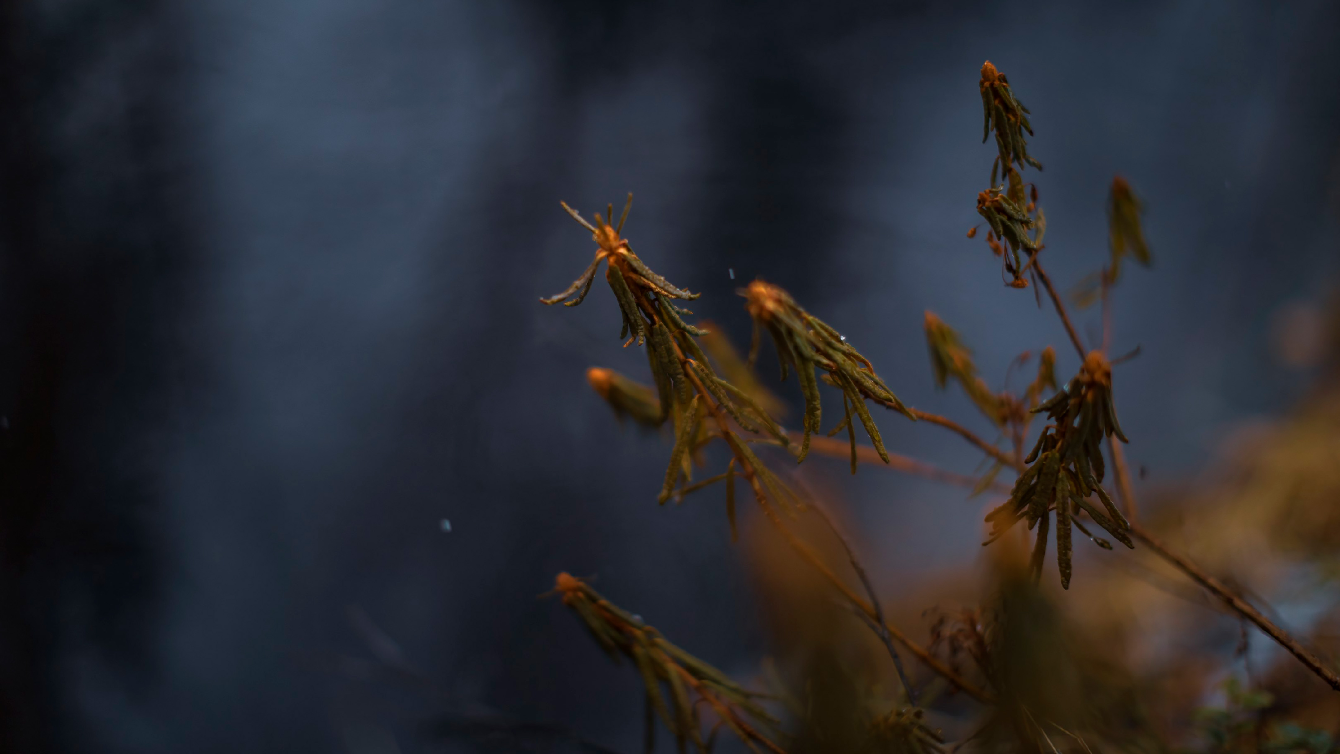 Fiber Composites | LUT University