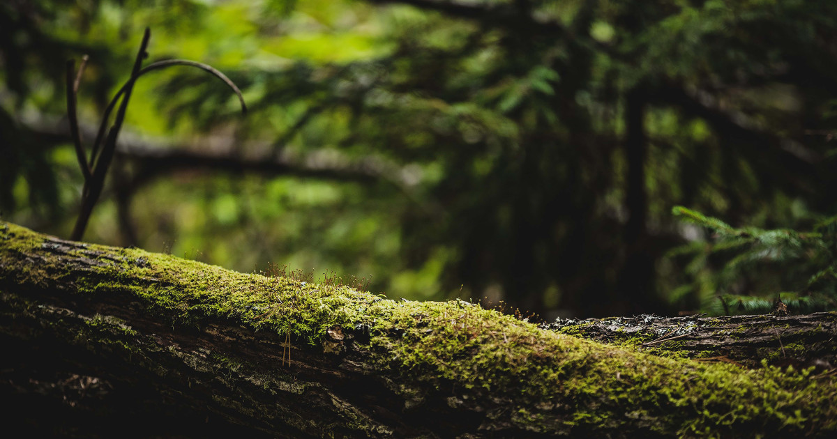 Development of Next Generation Large Scale Heat Pump Systems (NEXTHEPS ...