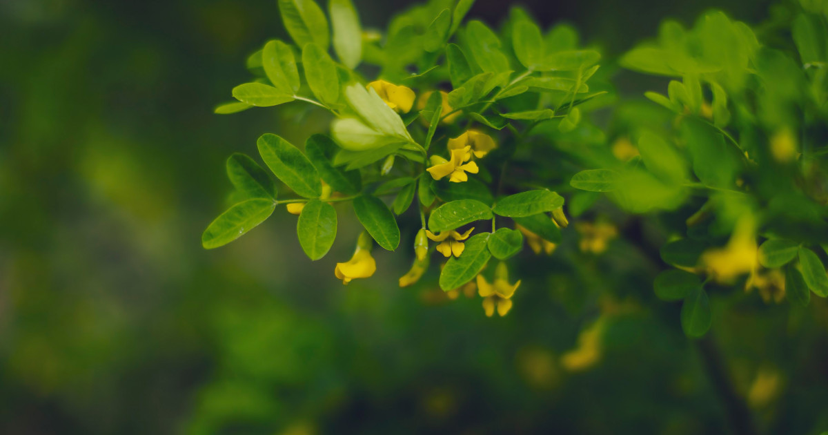 Key Facts and Figures 2024 | LUT University