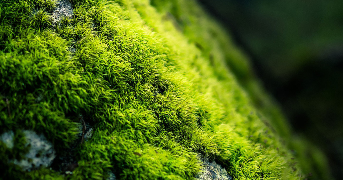 Experimental Physics Instrumentation Group | LUT University