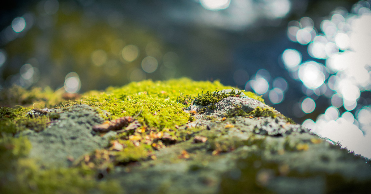 System earth collegium | LUT-yliopisto