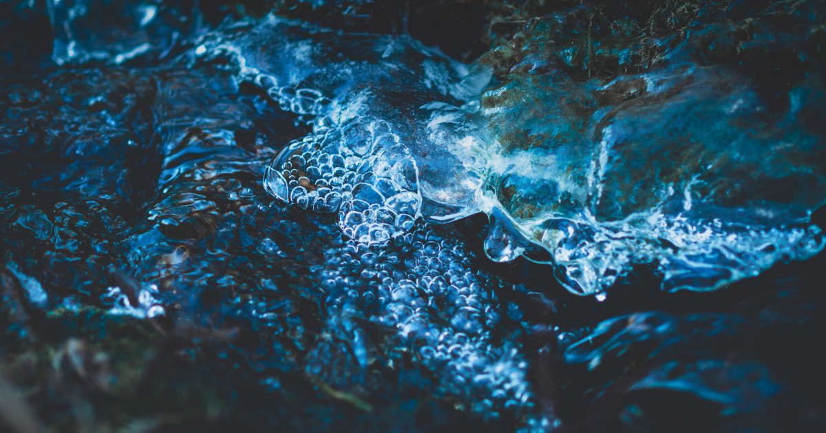 Algae-enhanced wastewater treatment | LUT University