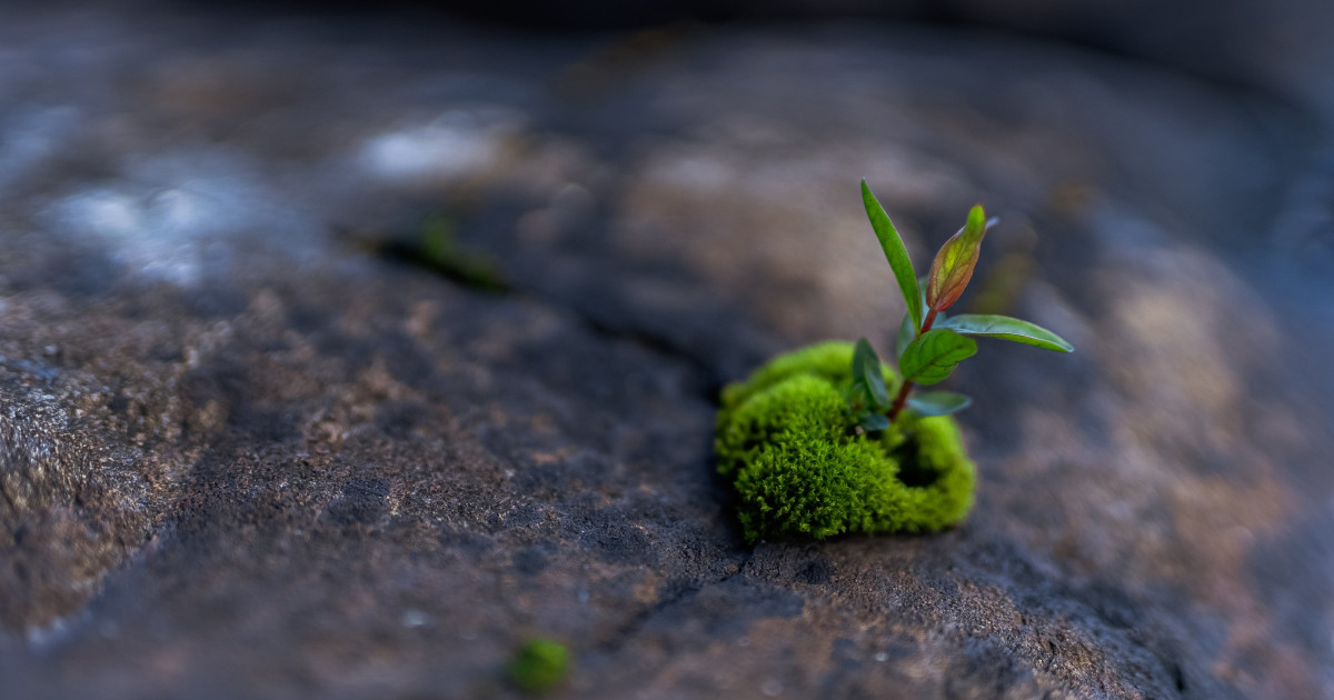 Rolling admission | LUT University