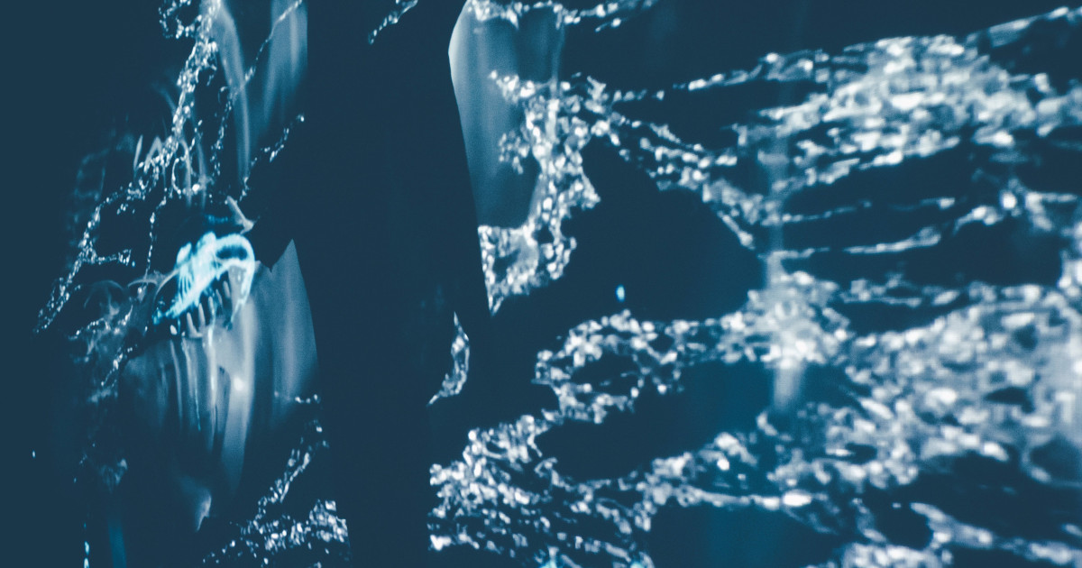 Hidden in Time: the JHC slow motion challenge February–April 2024 | LUT ...