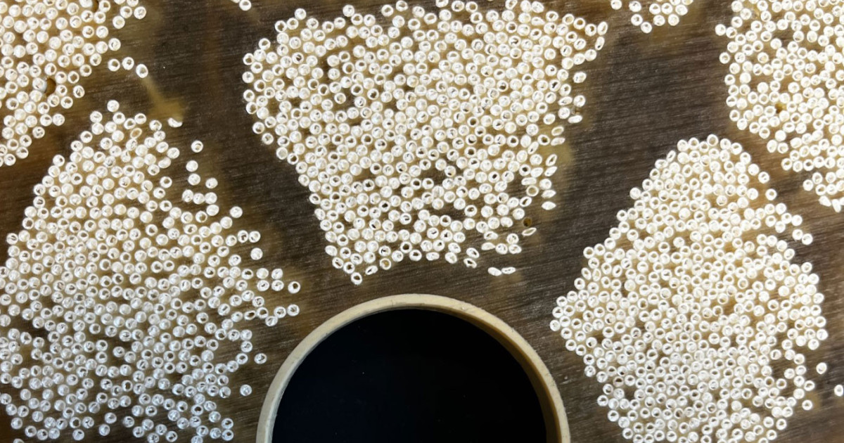 Mem-Fast Who can apply? | LUT University