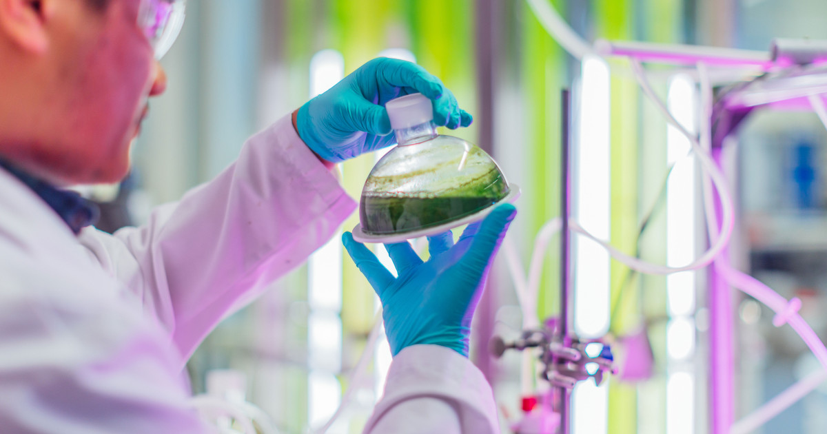 Unfolding the interactive mechanisms between microalgae and synthetic ...