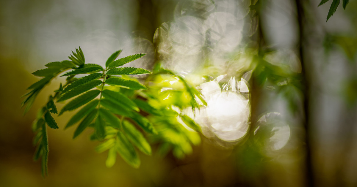 Research Excellence | LUT University