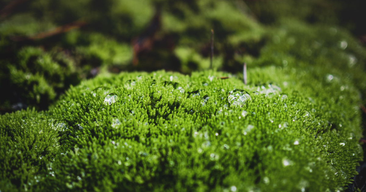 Computational Materials Physics | LUT University